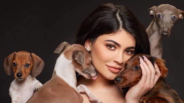 What Happened to 29 Pets Seen on Keeping Up With the Kardashians
